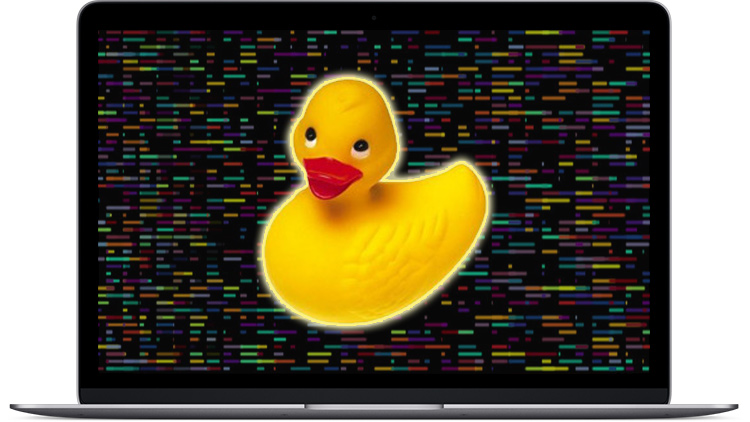 Solve Programming Problems with Rubber Duck Debugging — Nick Janetakis