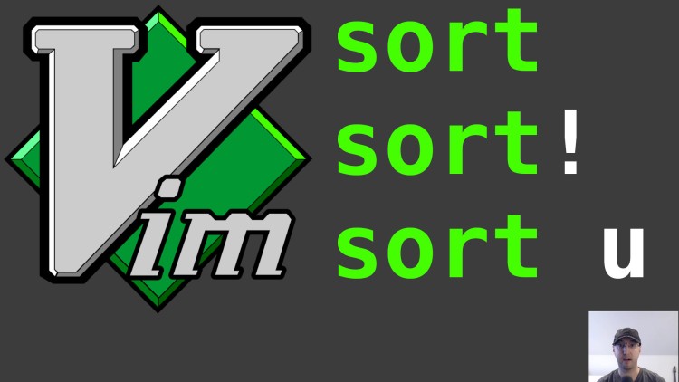 Sort and Reverse Sort a Selection of Text or File in Vim — Nick Janetakis